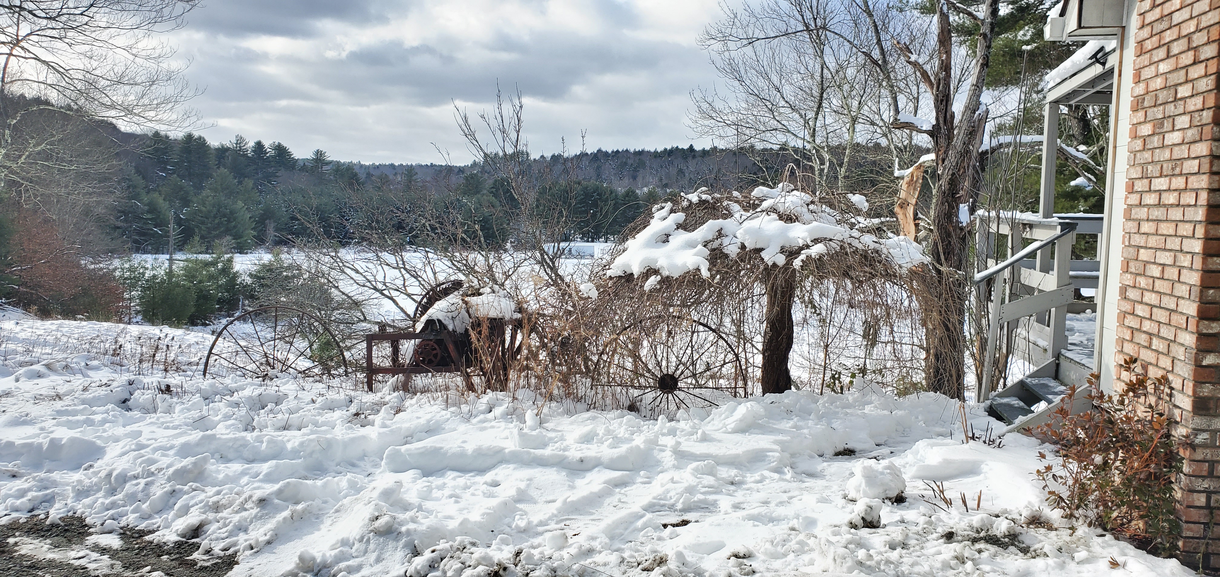 |Seasonal pic's| – Dutch Hill Cottage